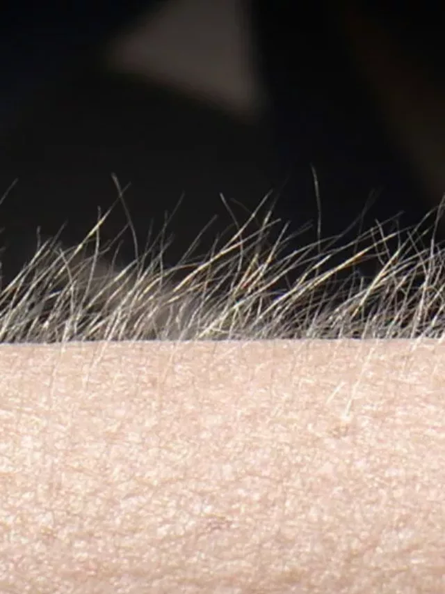 Arrepios: Presságio Espiritual ou Reflexo do Corpo? - Ella's Magazine